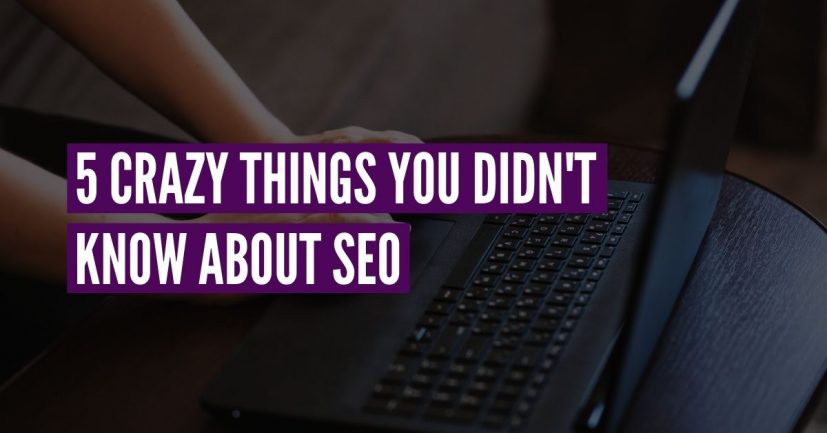 5 Crazy Things You Didn’t Know About SEO - Edmonton Social Media ...